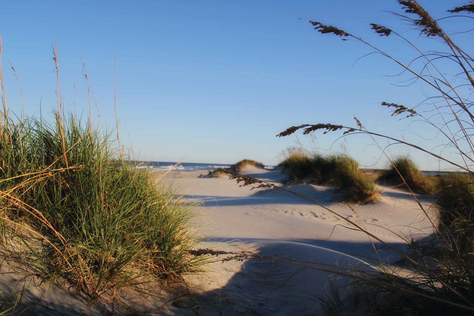 Shop By Collection | Shop Outer Banks